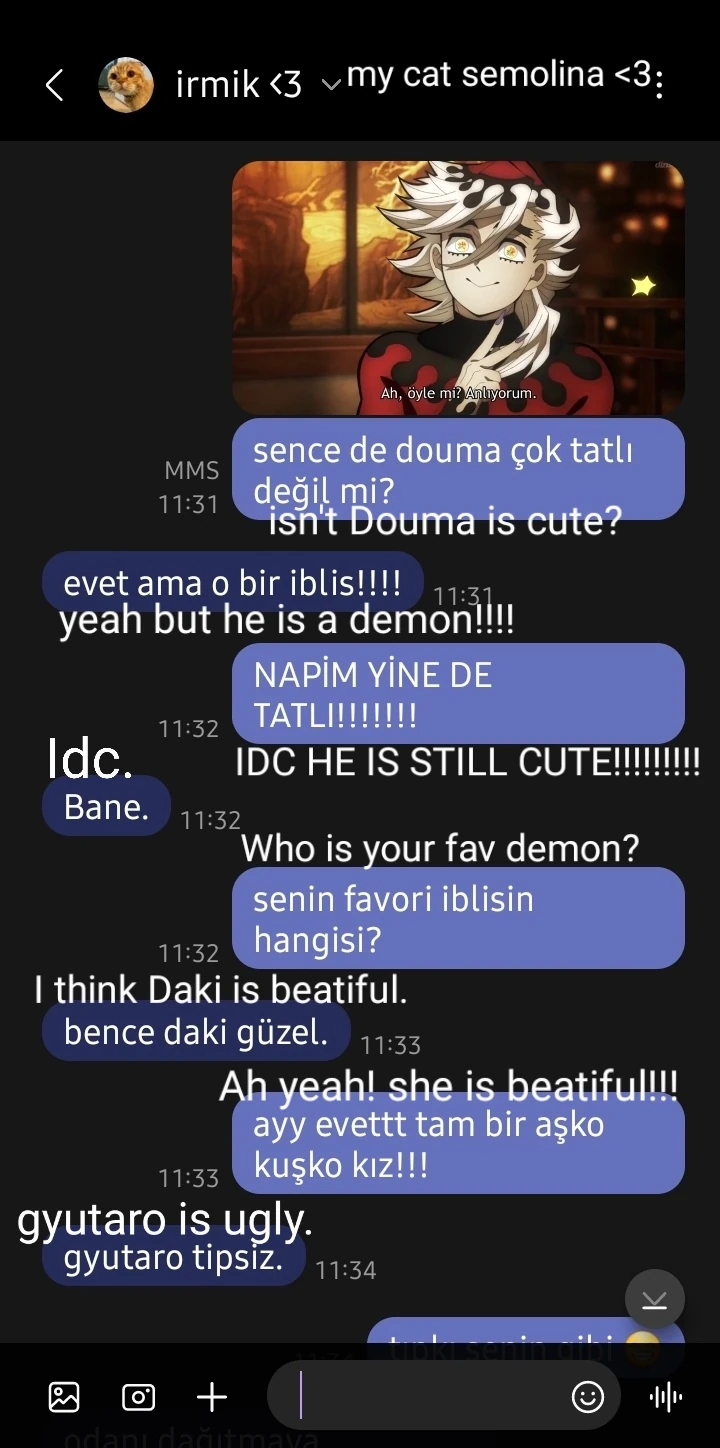 My cat and my messages. And yeah, I'm Turkish. I translated. | Fandom