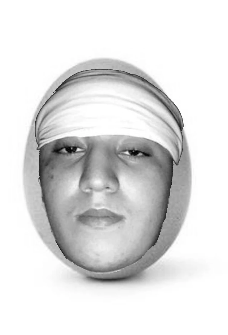 Can we make the Joey Silk egg the most liked post on the Joey Silk Alt ...