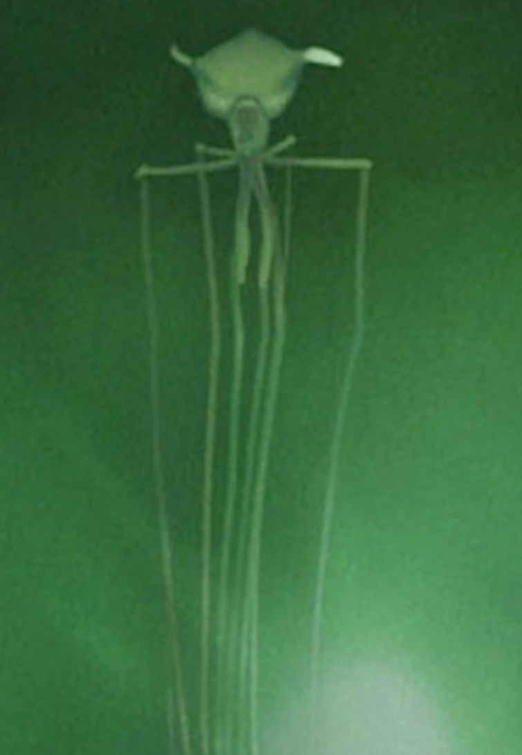 should i make a magnapinna inkling and just make them really creepy and ...