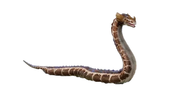 Discuss Everything About Jurassic Park Wiki | Fandom