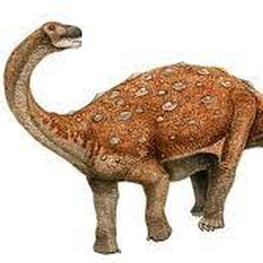 Discuss Everything About Dinopedia | Fandom