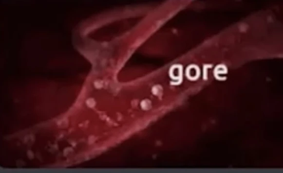 Hey guys look | Fandom