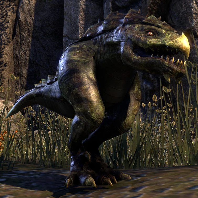 Discuss Everything About Elder Scrolls | Fandom