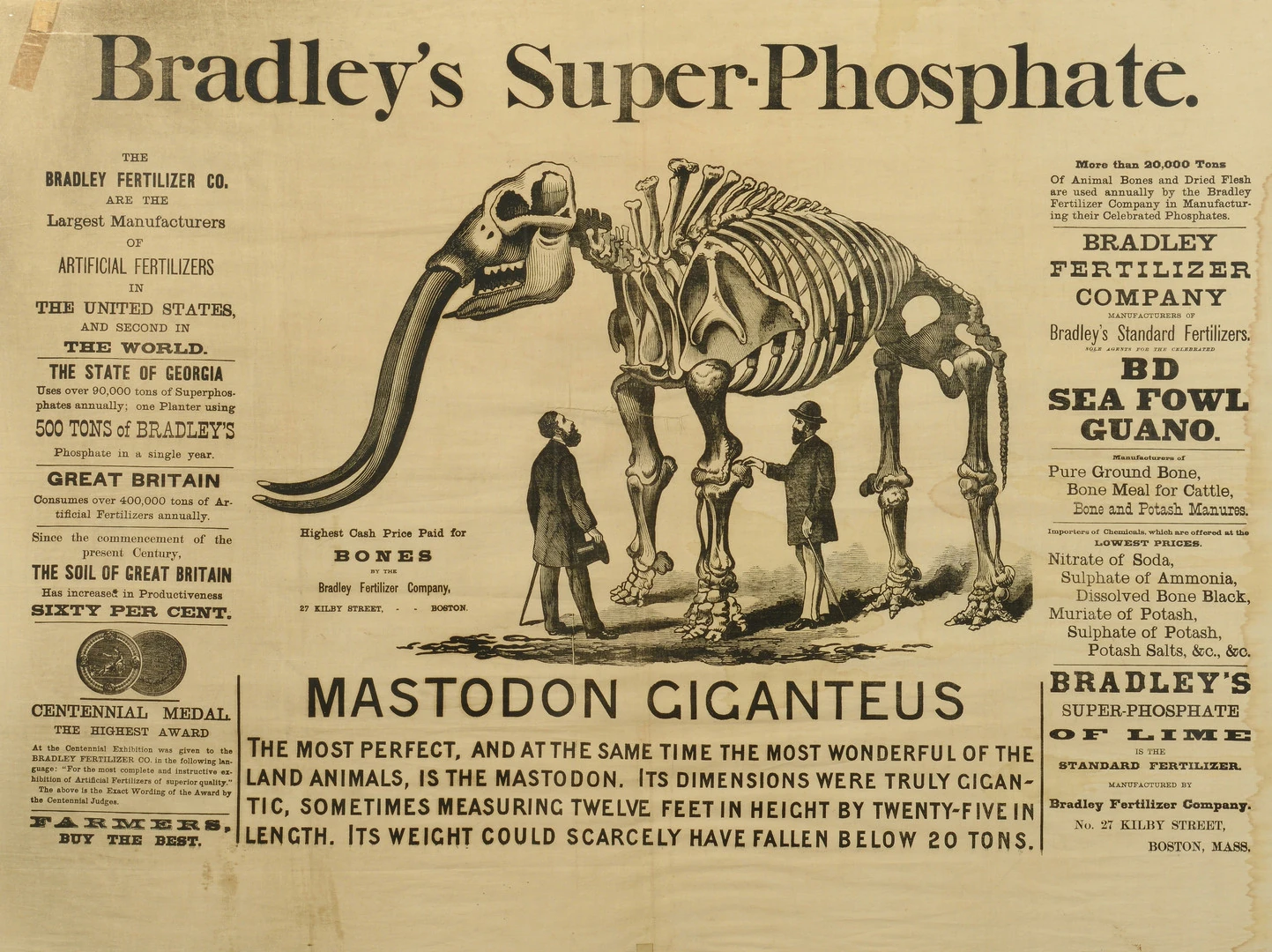Dinopedia makes funny newspaper headlines about prehistoric animals ...