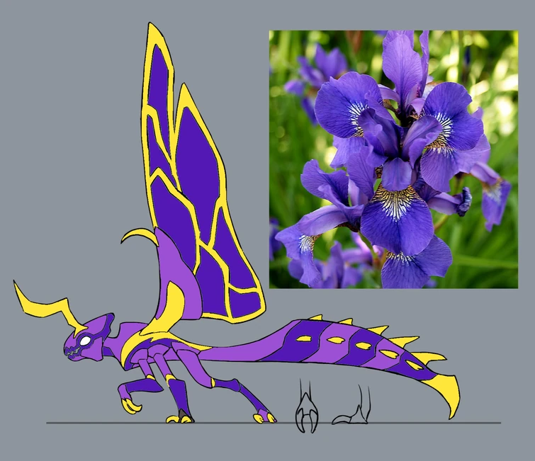 Flower Themes! | Fandom