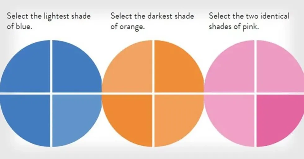 I Am Convinced The Wiki Is Colorblind | Fandom