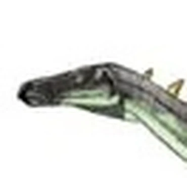 Discuss Everything About Dinopedia | Fandom