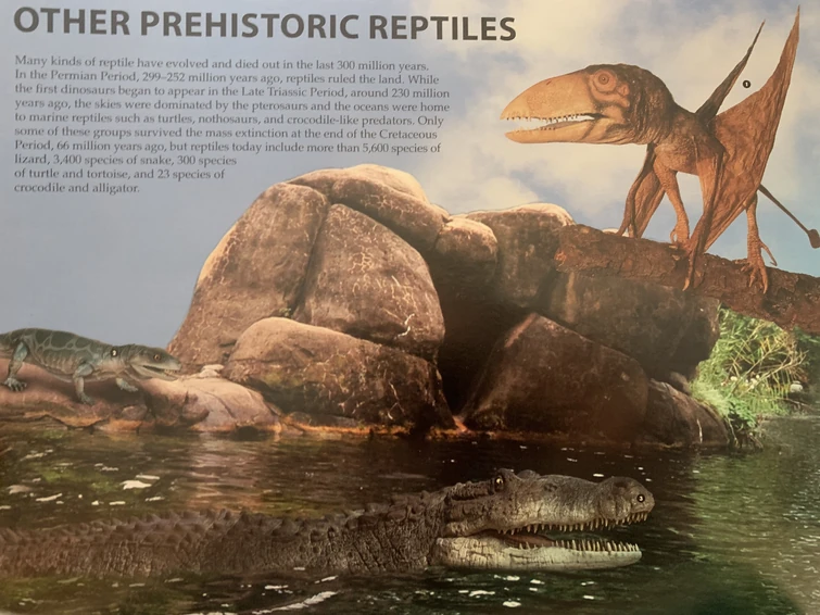 Discuss Everything About Dinopedia | Fandom