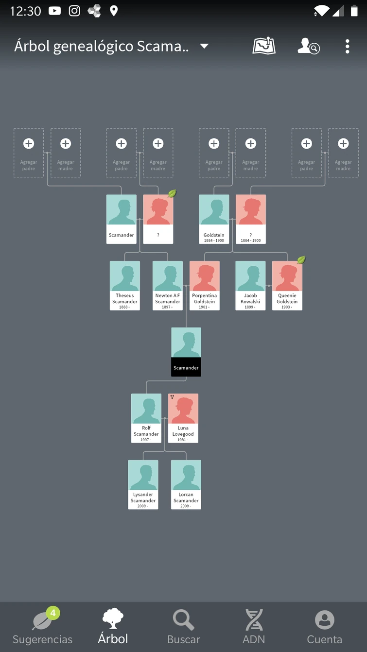 A family tree of Newt's family | Fandom