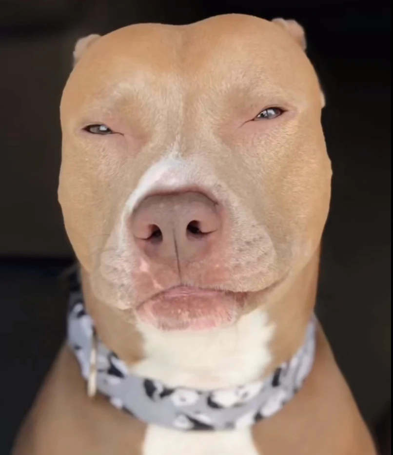 Trading Default Scrawei! | Fandom