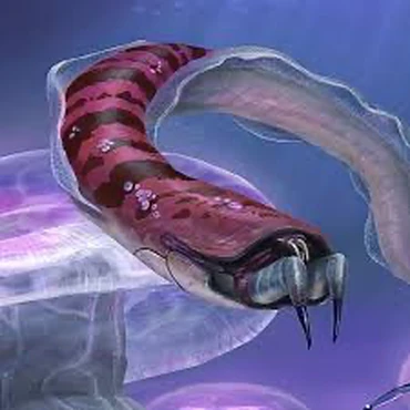 Discuss Everything About Subnautica Wiki Fandom