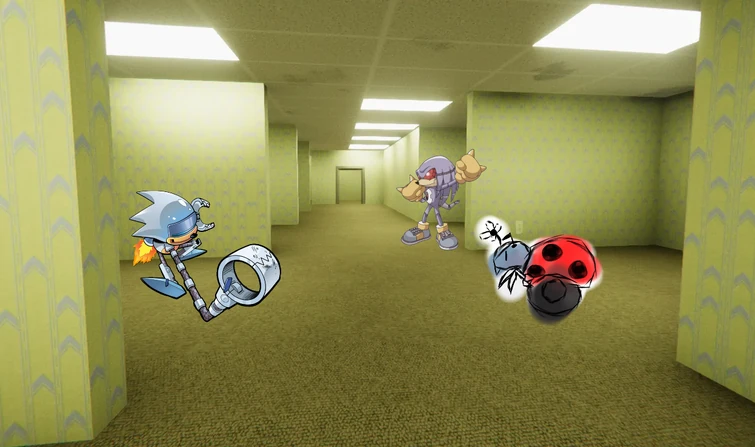 add a sonic character in the backrooms. | Fandom