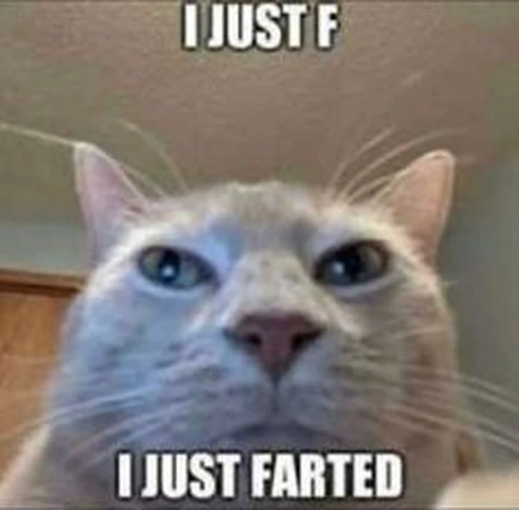 funny little guy | Fandom