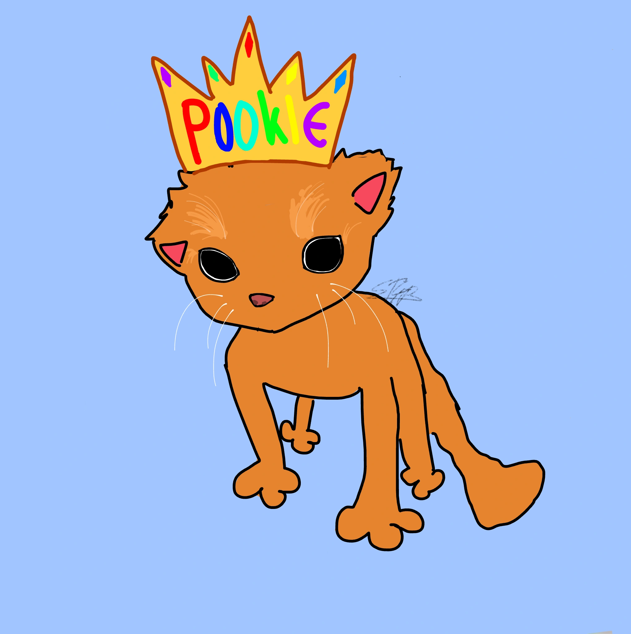 THE ROYAL/QUEEN OF THE POOKIES!!! | Fandom