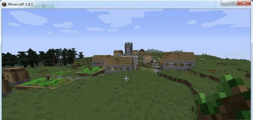 Can you help me find the seed of the village in this picture! Thank you ...