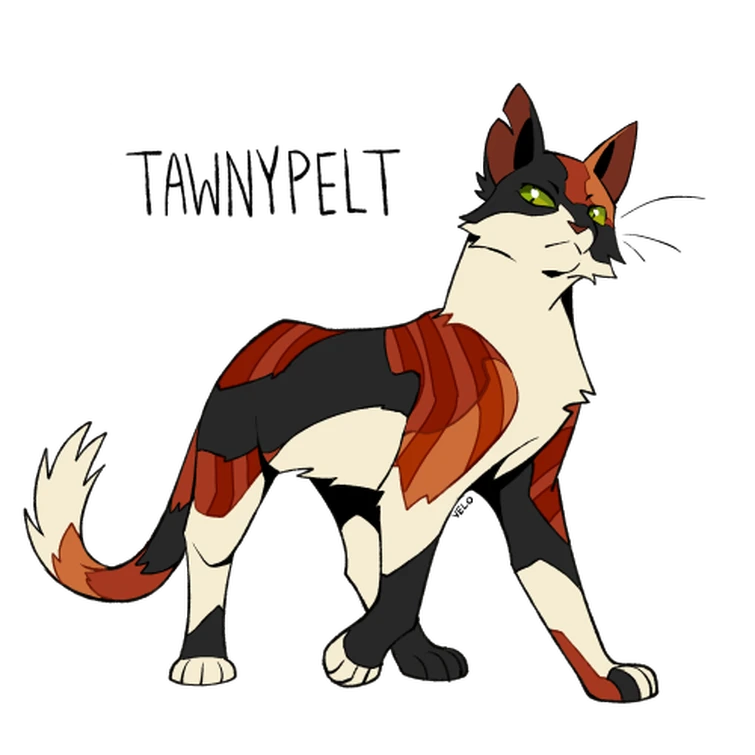 The new cats in Midnight (and the ones that changed ranks) | Fandom