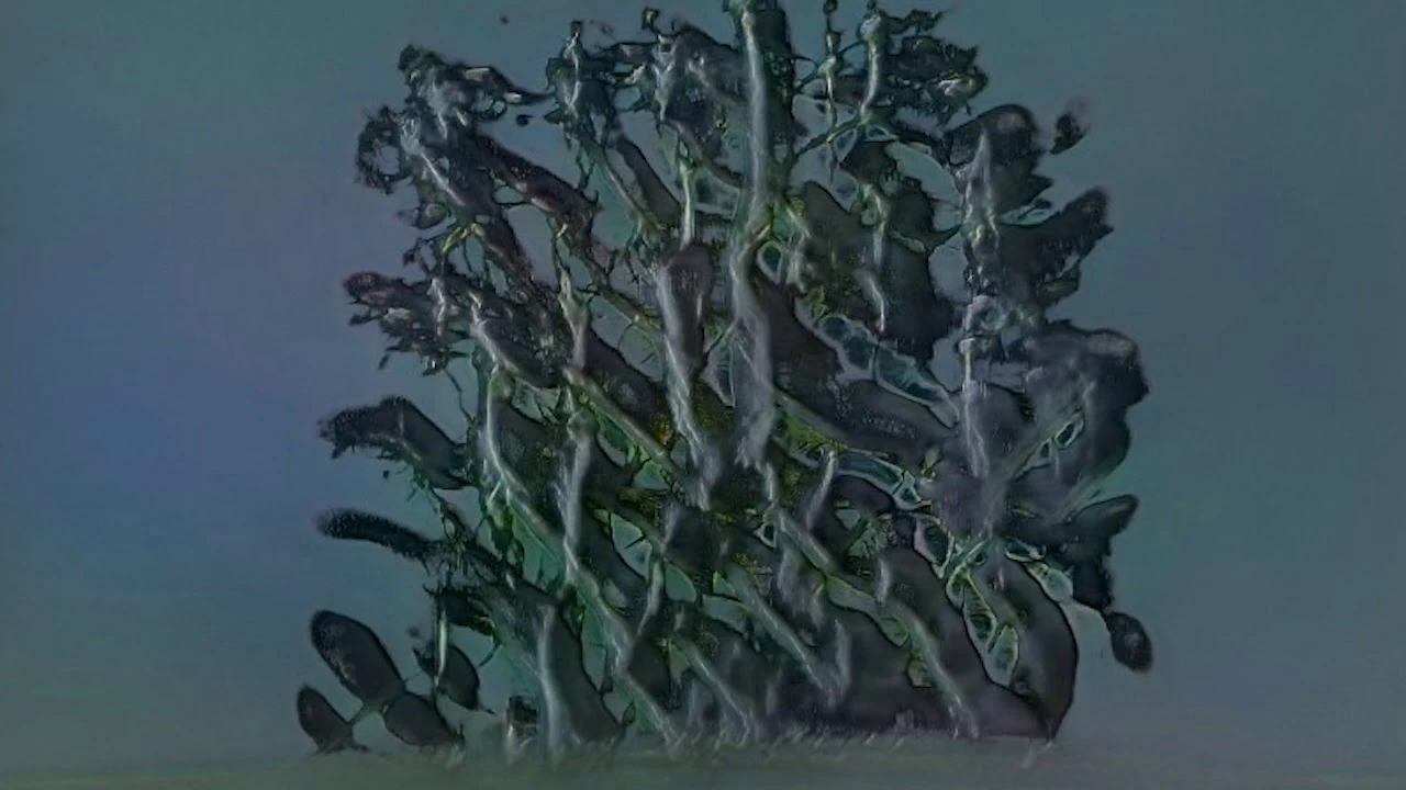 Me when toe stub toe | Fandom