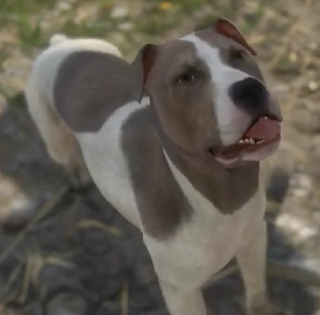 The Mutt Page | Fandom