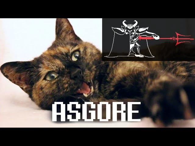 here, have a meowsgore | Fandom