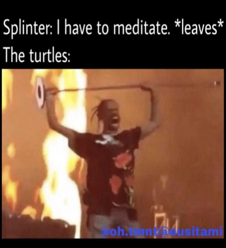 TMNT Meme Of The Day | Fandom