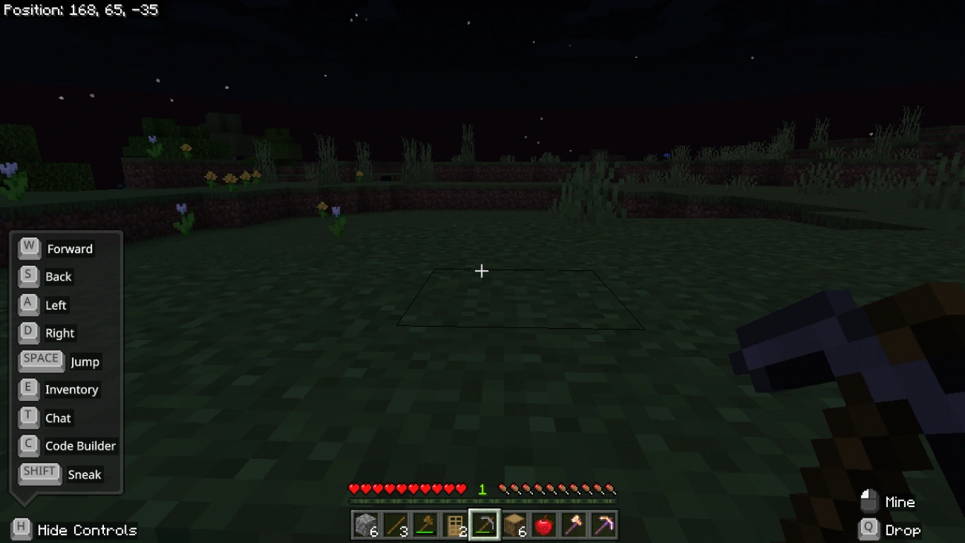 Can any one tell me what these are in my mine craft world? (screen ...