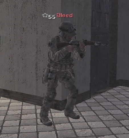 Bleed | CDI Call Of Duty Indonesia Wikia | Fandom