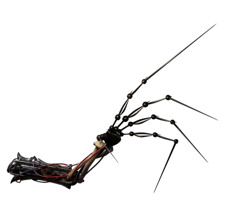 Different experiments | Fandom