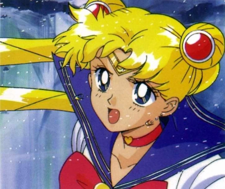 NPG Proposal: Sailor Moon from Sailor Moon (1990's anime) | Fandom