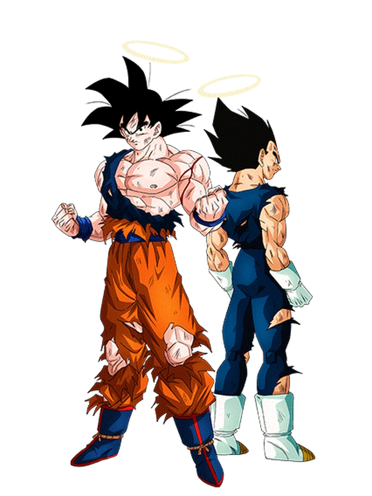 The Ultimate Fusion! Super Gogeta Concept | Fandom