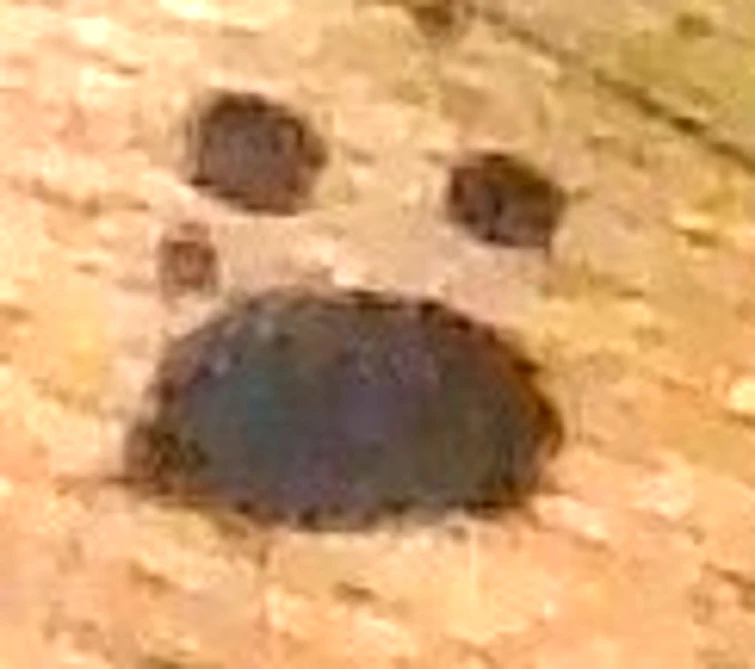 Discuss Everything About Glagglepedia Wiki | Fandom