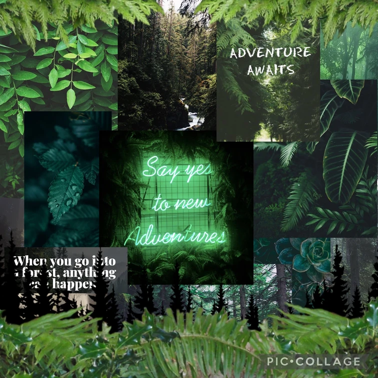 Discuss Everything About Lost Cities Keeper Wiki | Fandom