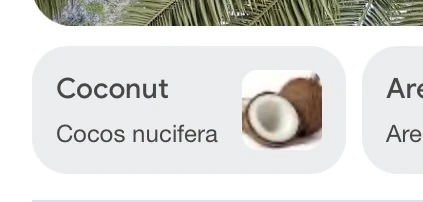 no comment………….. | Fandom