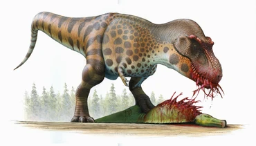 What should the t rex be patterned like in the dinopedia prehistoric ...