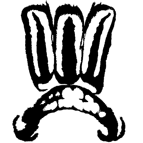 turned B-5's old design into A-300 for no absolute reason | Fandom