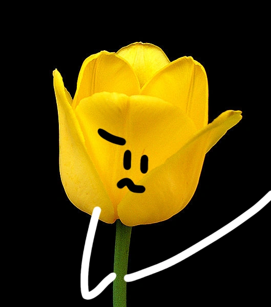 hi nerds new oc! | Fandom