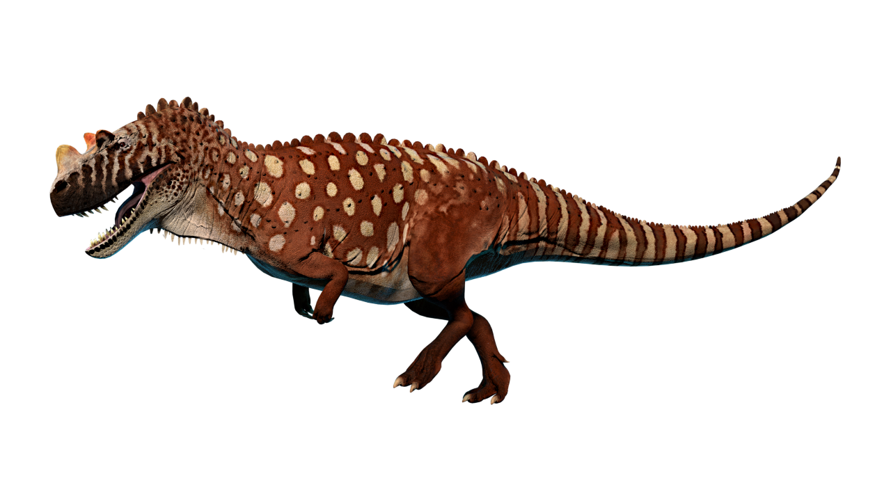 Dinopedia Prehistoric Park Episode 6 The Jurassic Giants And The Park Opens For Tours Part 2 Of
