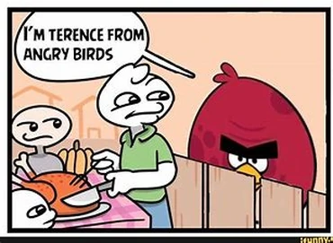 which angry birds meme is the funniest | Fandom