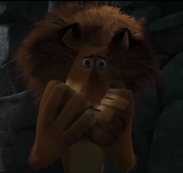 Discuss Everything About Madagascar Wiki | Fandom