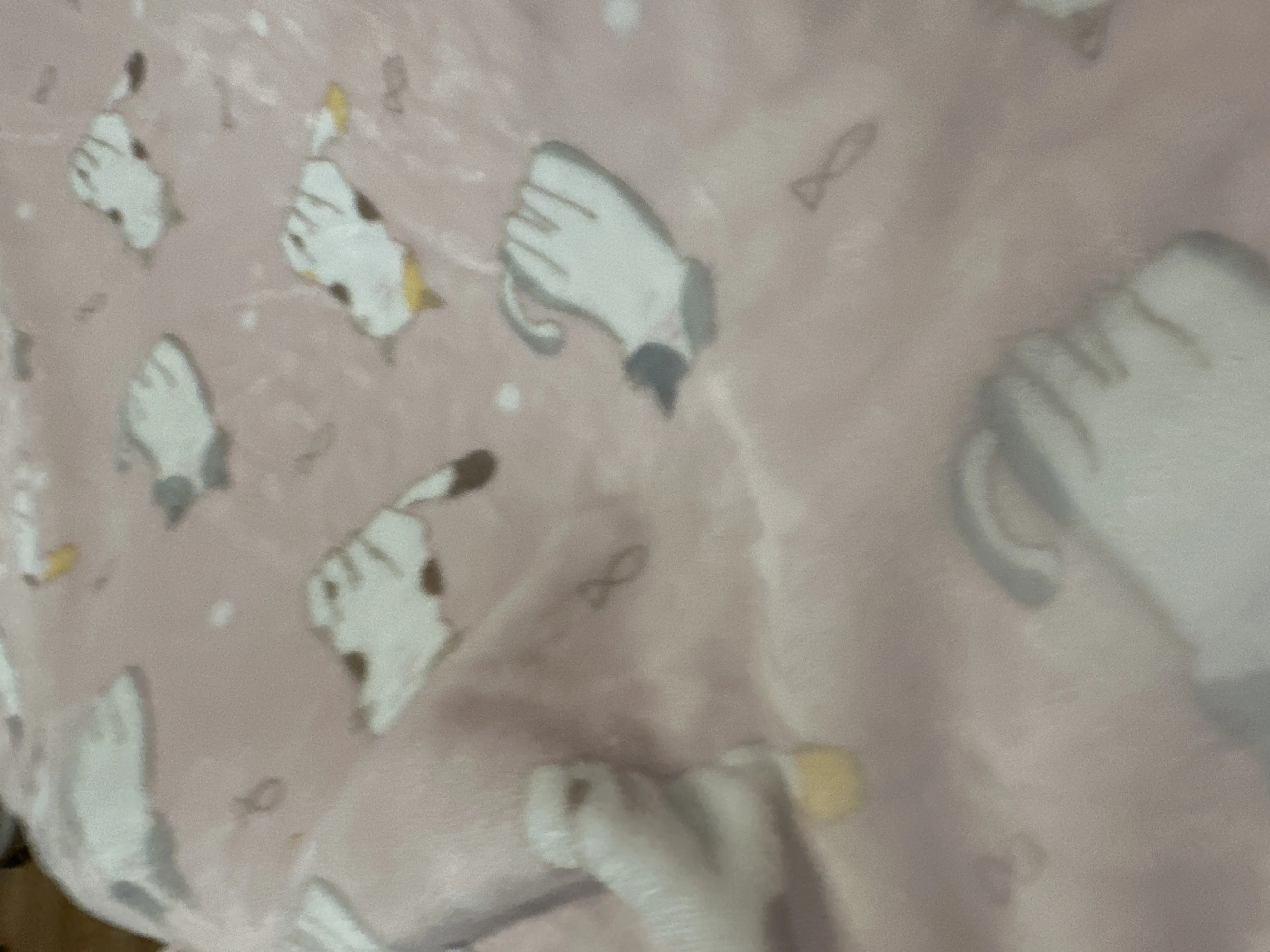 Cat blanket | Fandom