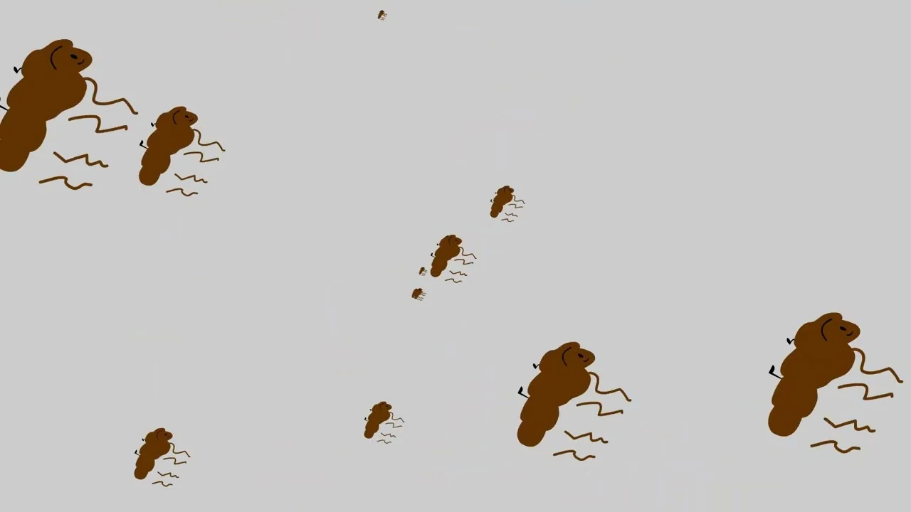 poo gender 😂 ! epsidoe 2 | Fandom