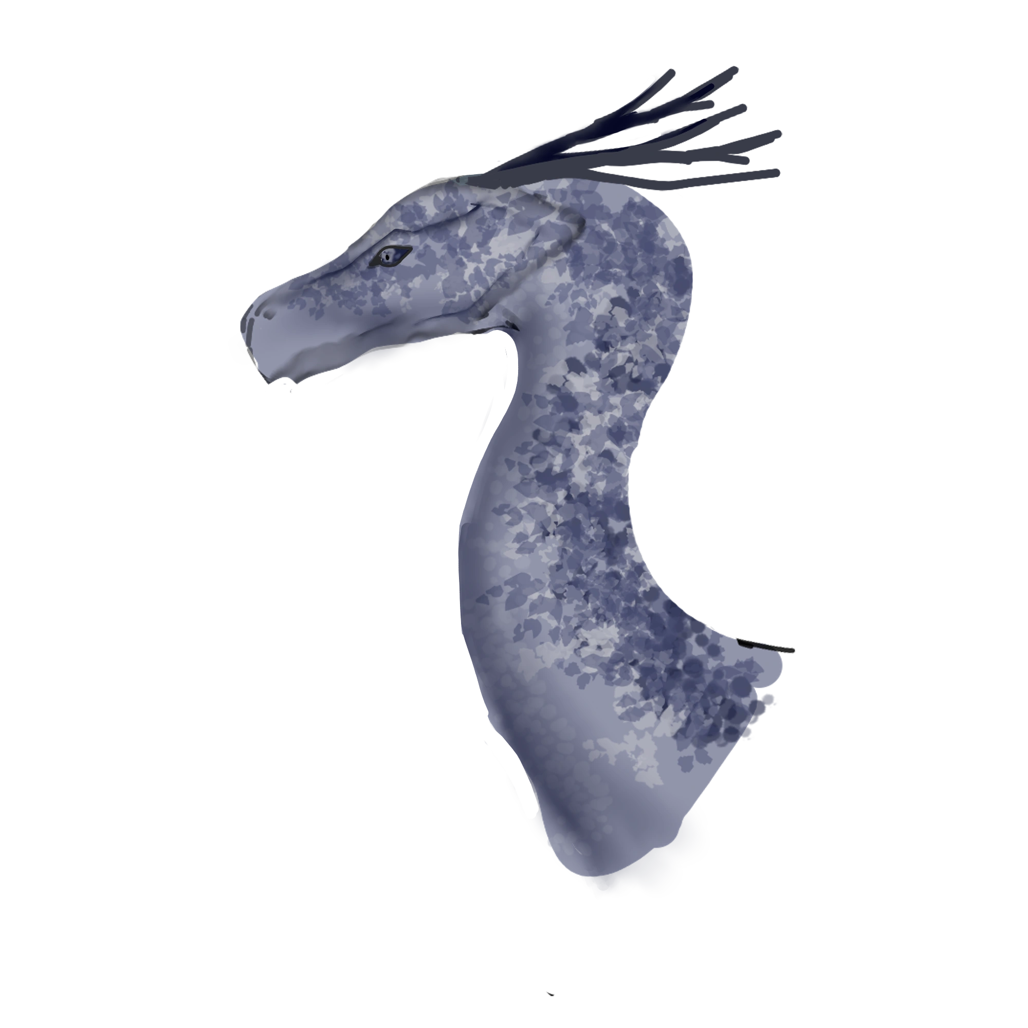 meet my new oc | Fandom