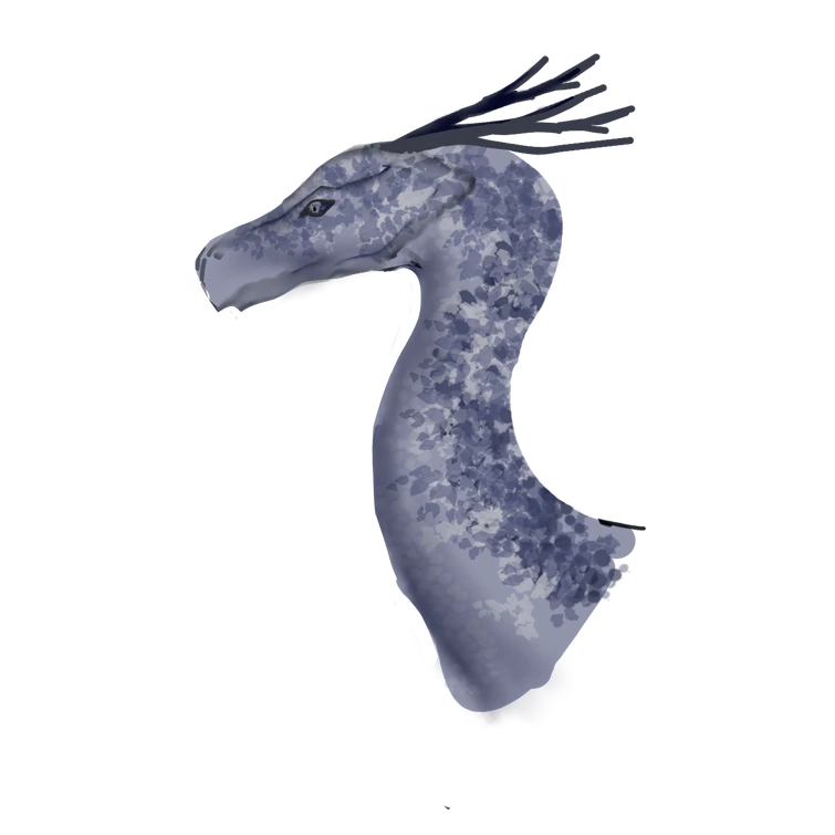 meet my new oc | Fandom