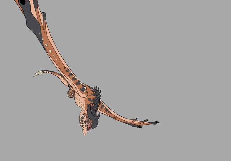 Discuss Everything About Dragon Adventures Wiki | Fandom