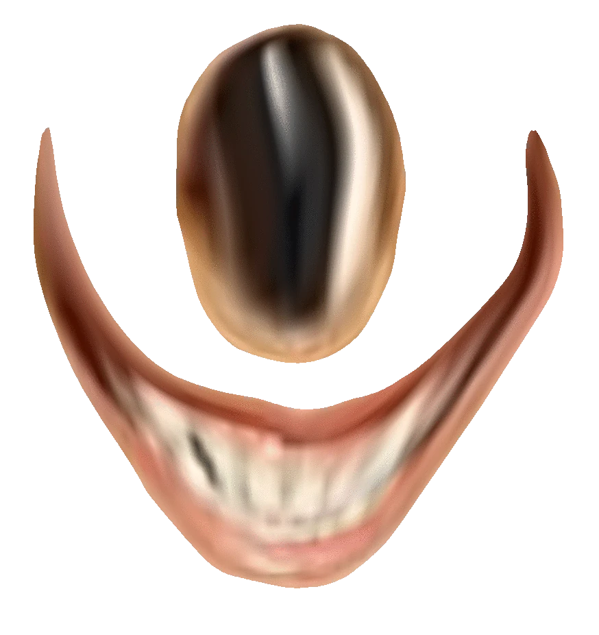 no way CVA-322500?! | Fandom