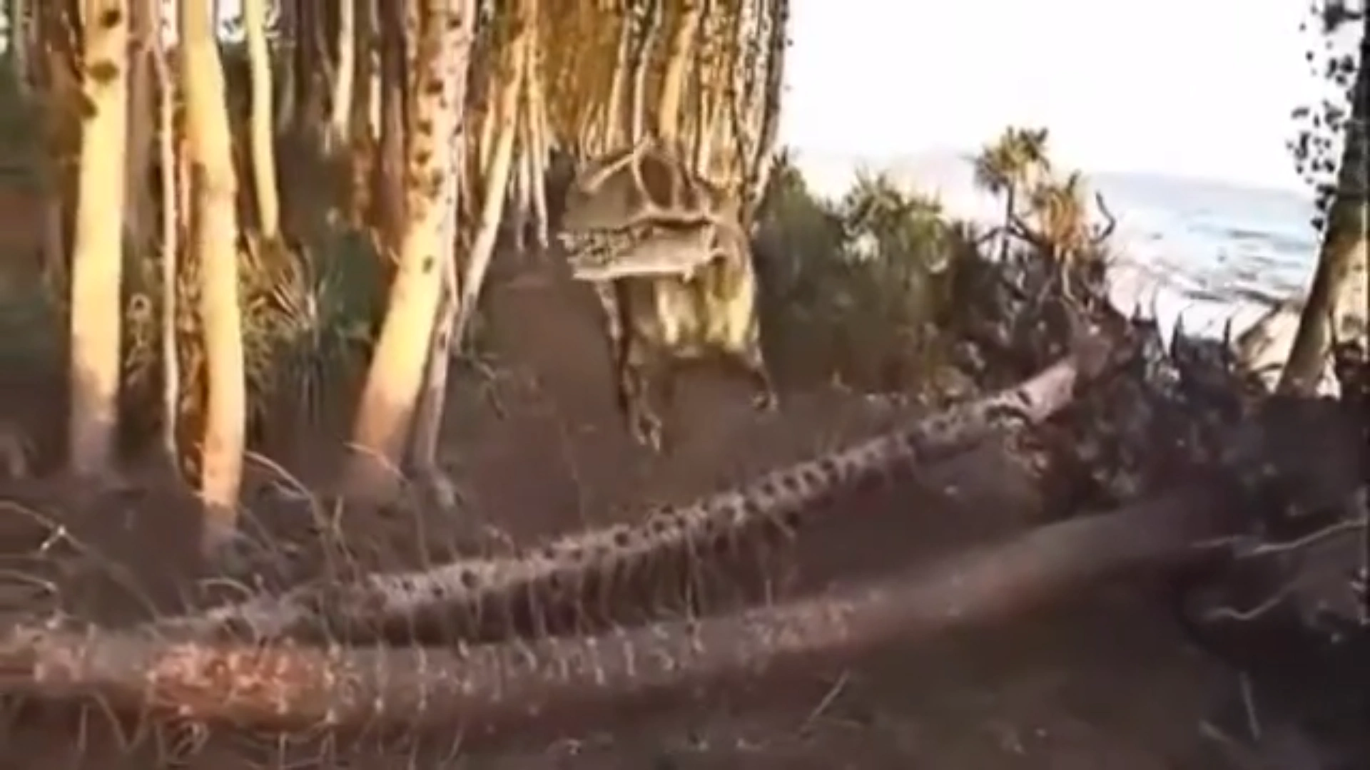 Prehistoric Kratts S1e2 Lions Of Jurassic | Fandom