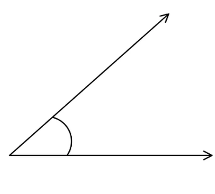 Shark v4 vs Angle v4 who would win? | Fandom