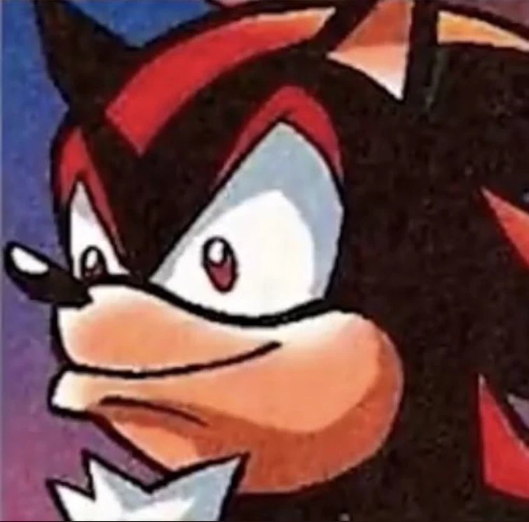 Why is Shadow smiling? (Wrong and Right answers only) | Fandom