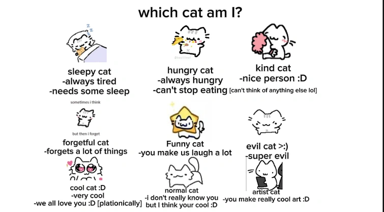 what cat am i??? | Fandom