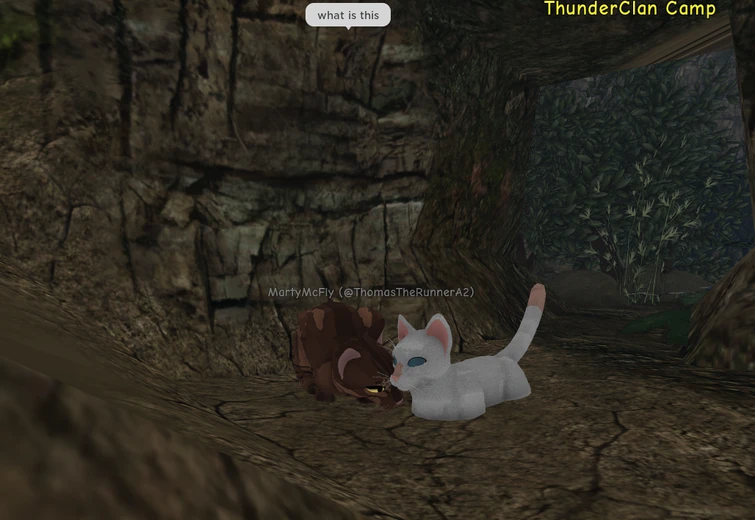 Discuss Everything About Warrior Cats: Ultimate Edition (WCUE) Wiki ...