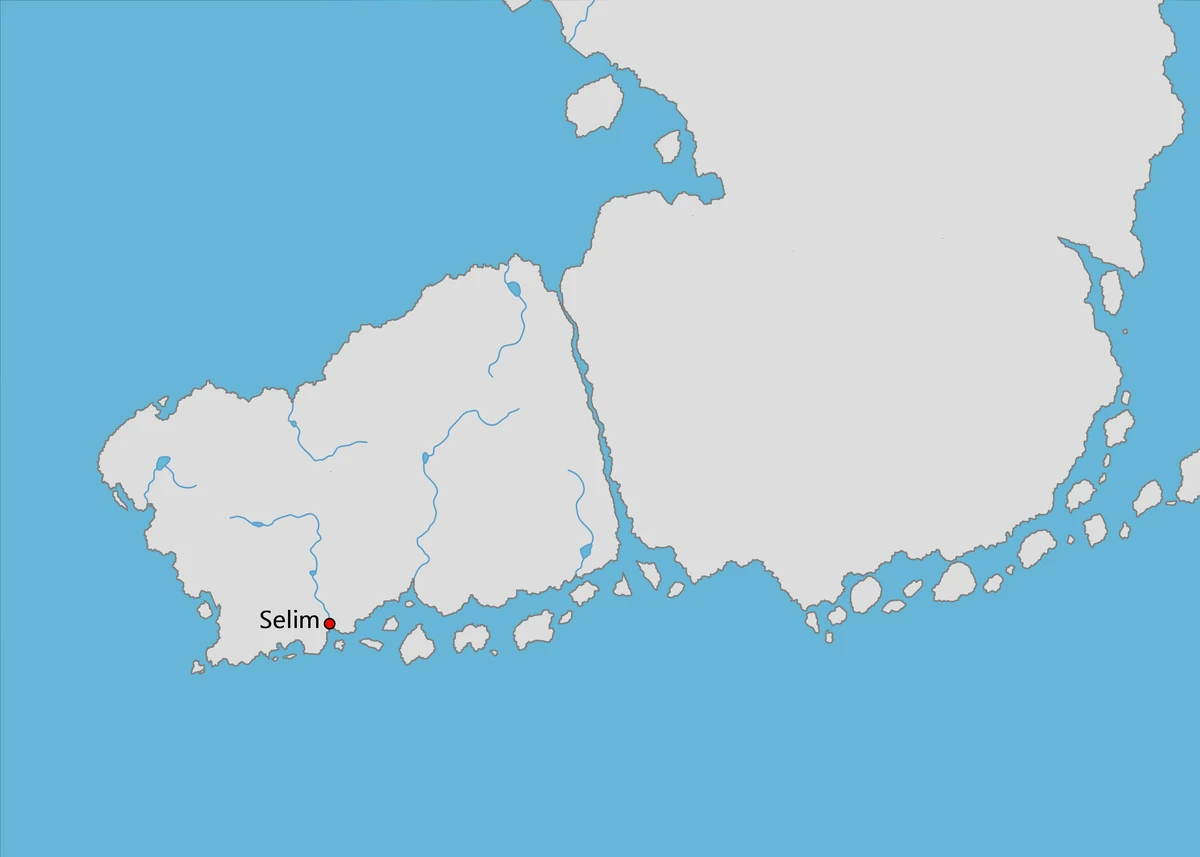 Selim | The Chronicles of Ceal Wiki | Fandom